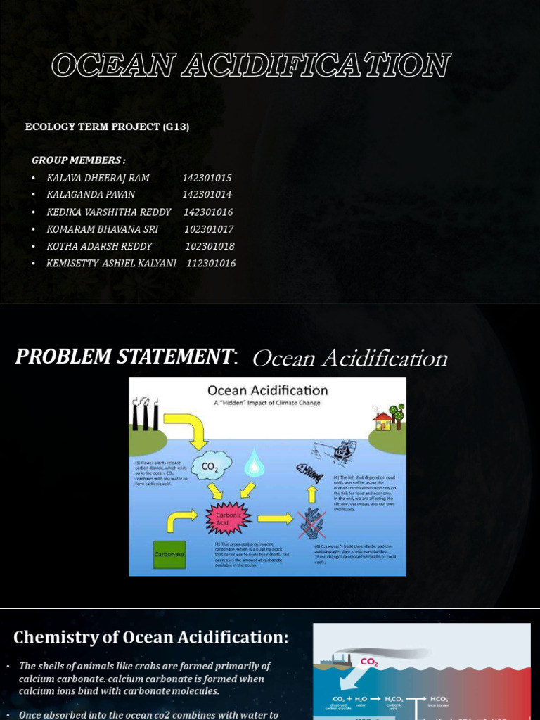 Ecology Project g13 | PDF