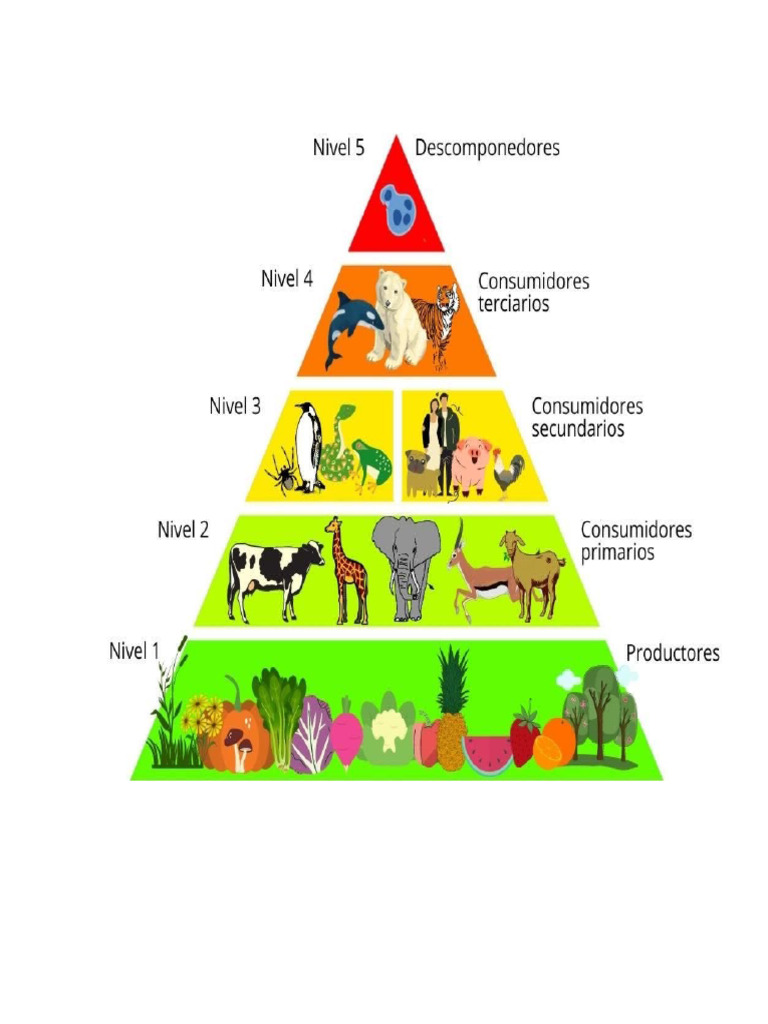 Cate Imprimir A Color | PDF