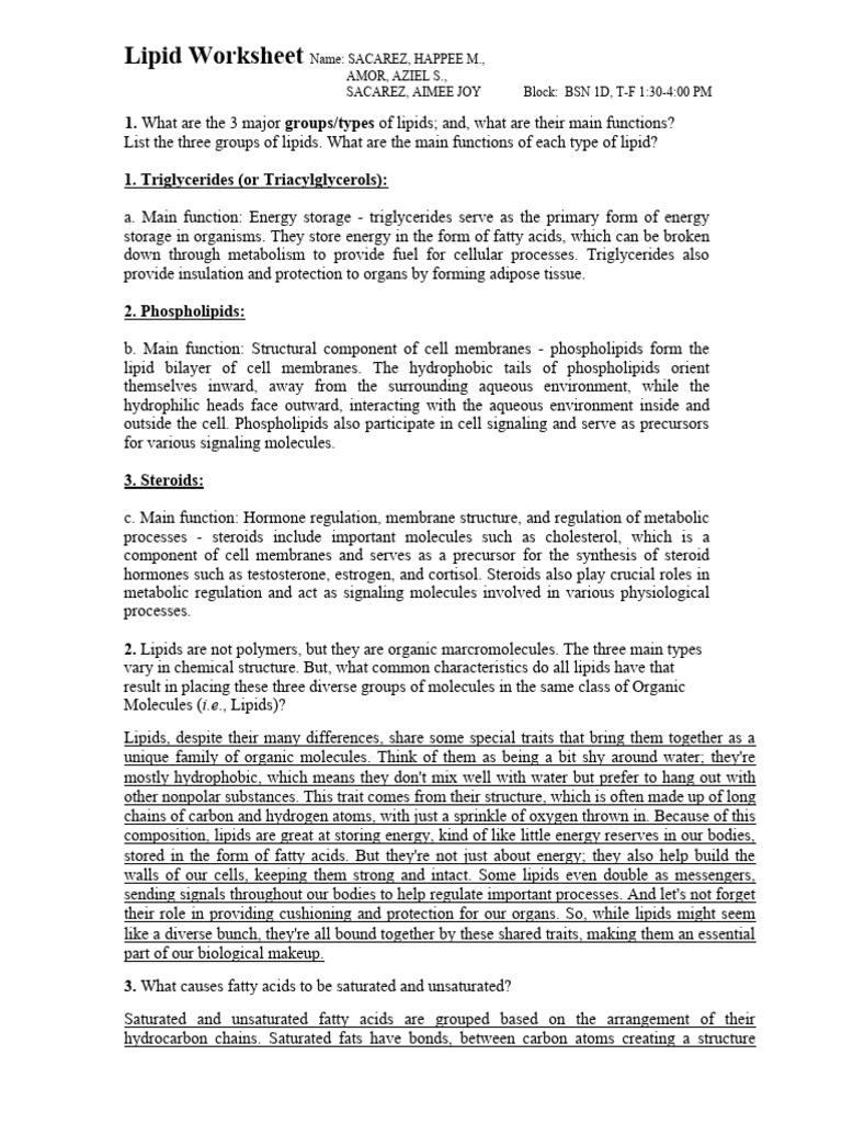 Lipid Worksheet | PDF