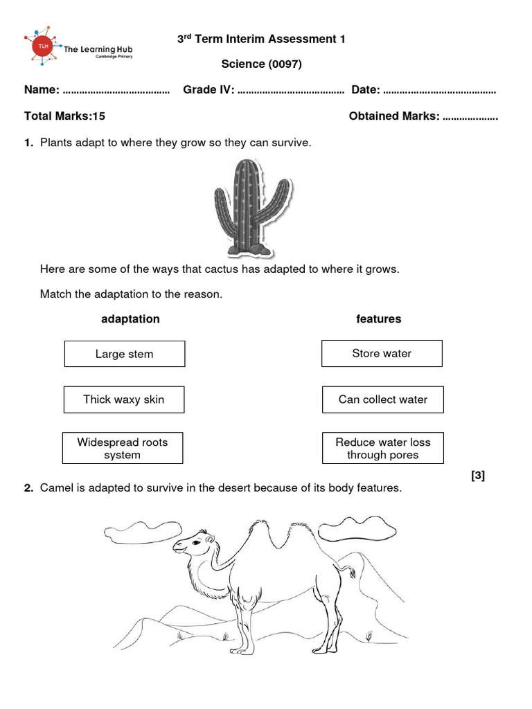 Grade 4 | PDF | Organisms | Botany