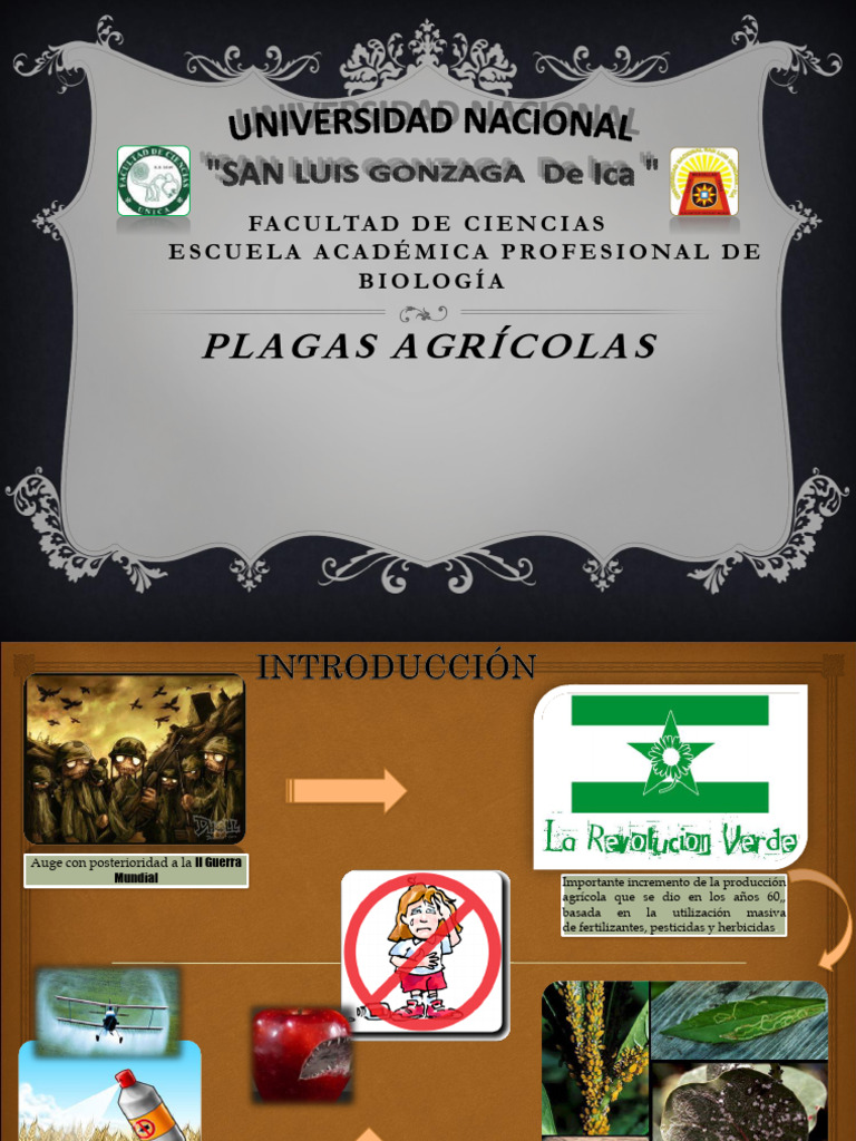 Tipos y Efectos de Plagas Agrícolas | PDF | Agricultura | Plaga (organismo)