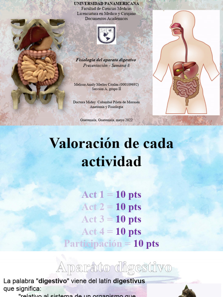 Fisiología Del Aparato Digestivo 2 | PDF | Digestión | Bilis