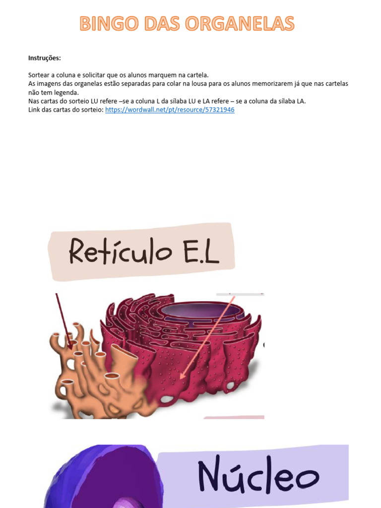 Bingo Das Organelas - 6º Ano | PDF