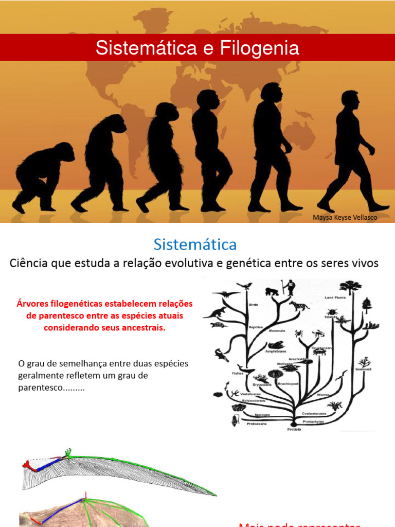 Taxonomia Sistemática PDF | PDF | Taxonomia (Biologia) | Filogenética