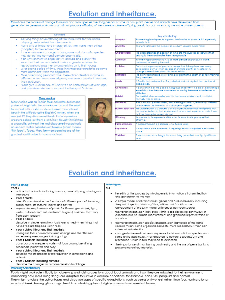 Evolution Knowledge Organiser - 1 | PDF | Evolution | Species