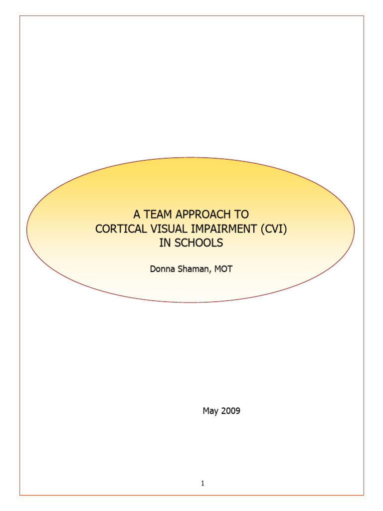 DB_Project_A_Team_Approach_to_CVI_in_Schools_Donna_Shaman | PDF | Stroke | Visual System
