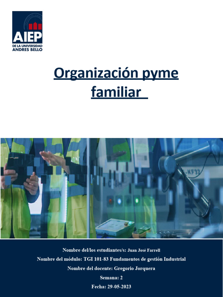 Organizacion Pyme Familiar Juan - Farrell - S2 | PDF | Negocios