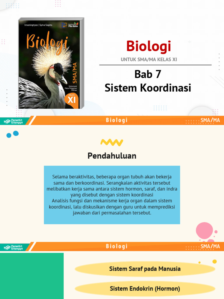 Bab 7 Biologi Kelas XI Kur-Merdeka | PDF