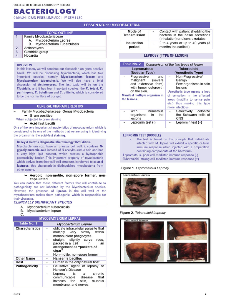 BACTE LEC 11 Mycobacteria 1 | PDF | Tuberculosis | Mycobacterium