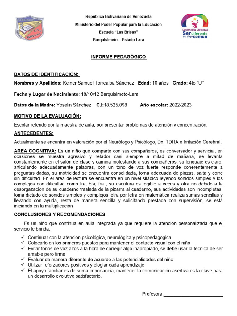 Informe Educativo | Descargar gratis PDF | Cognición | Aprendizaje