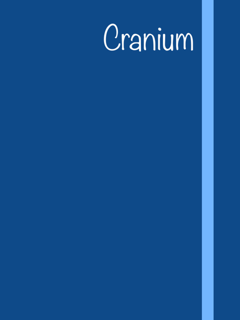 Cranium | PDF | Skull | Anatomy