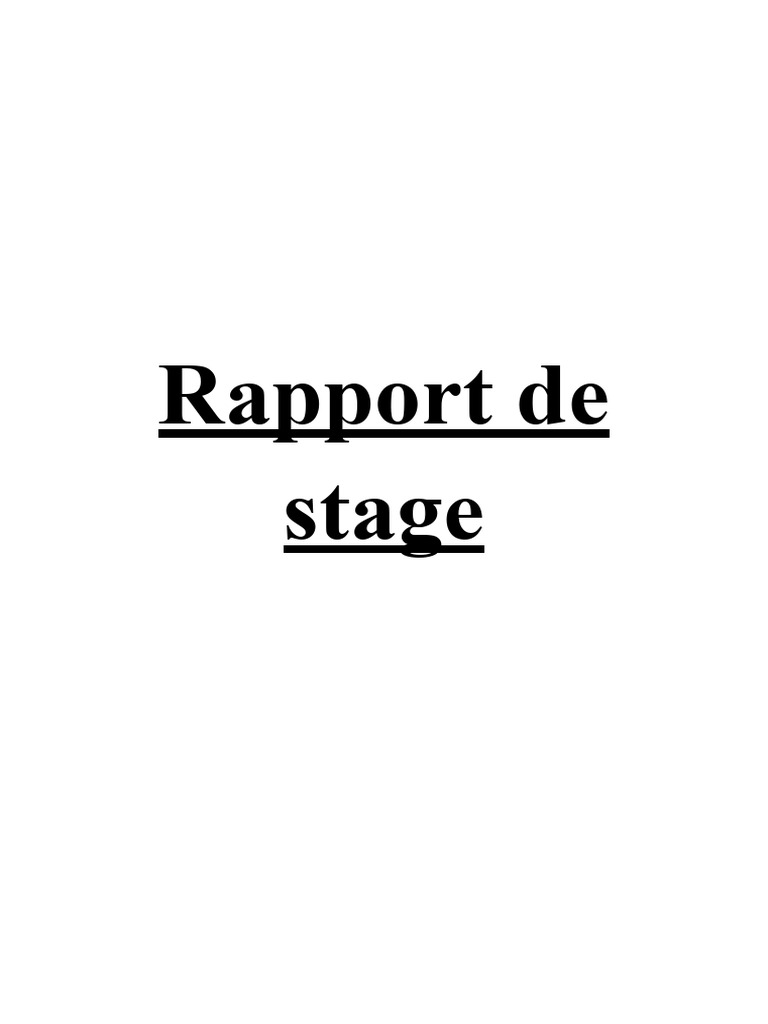 Rapport de Stage | PDF | Ordinateurs