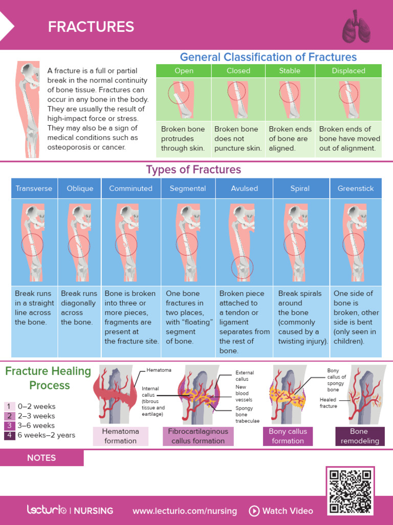 Nursing CS Fractures | PDF | Bone | Anatomy