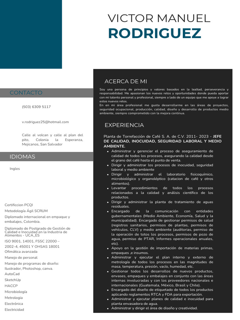 CV Víctor M. Rodríguez | PDF | Negocios | Tecnología