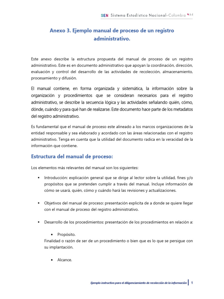 Anexo 4 Manual Proceso AEI | PDF | Información | Informática