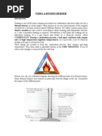 Bunsen Burner Activity Overview | PDF | Combustion | Energy Technology