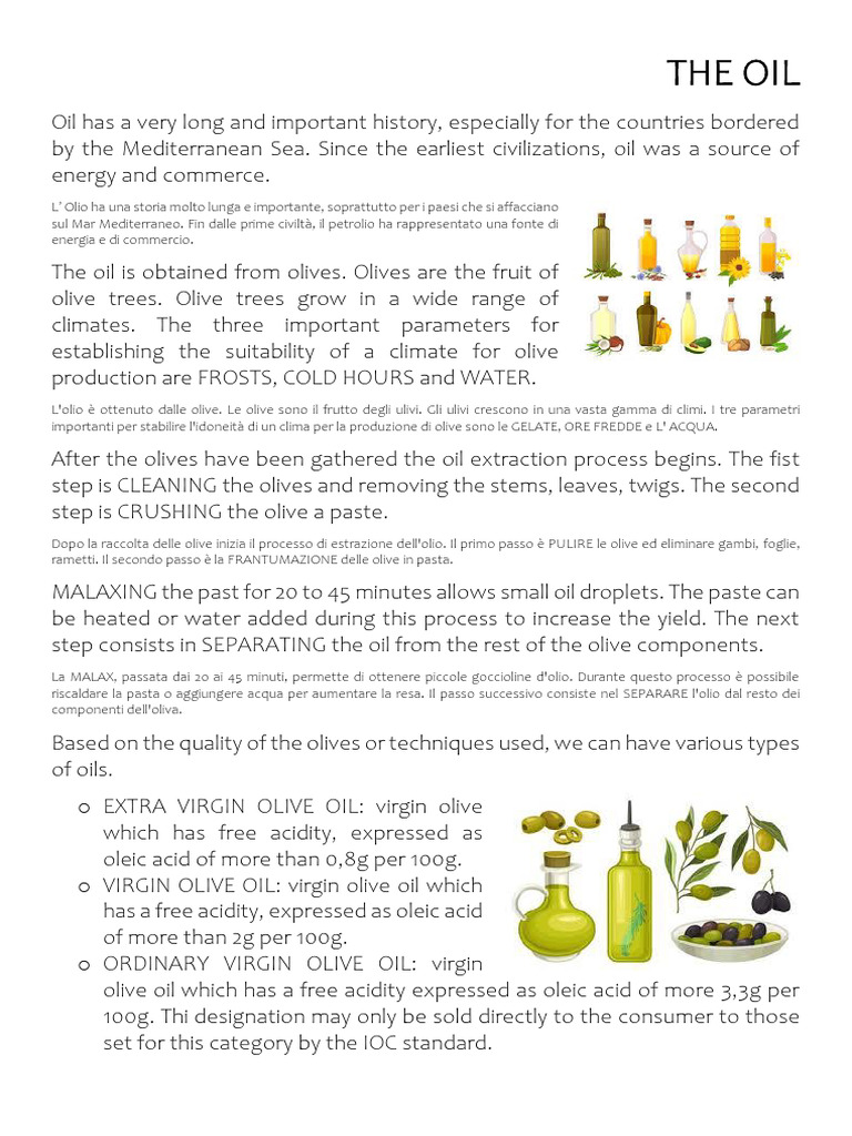 The Oil | PDF | Olive Oil | Olive