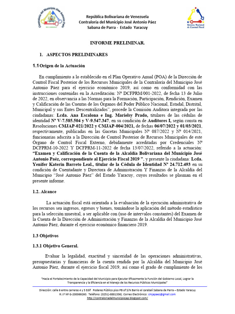 Informe Preliminar | PDF