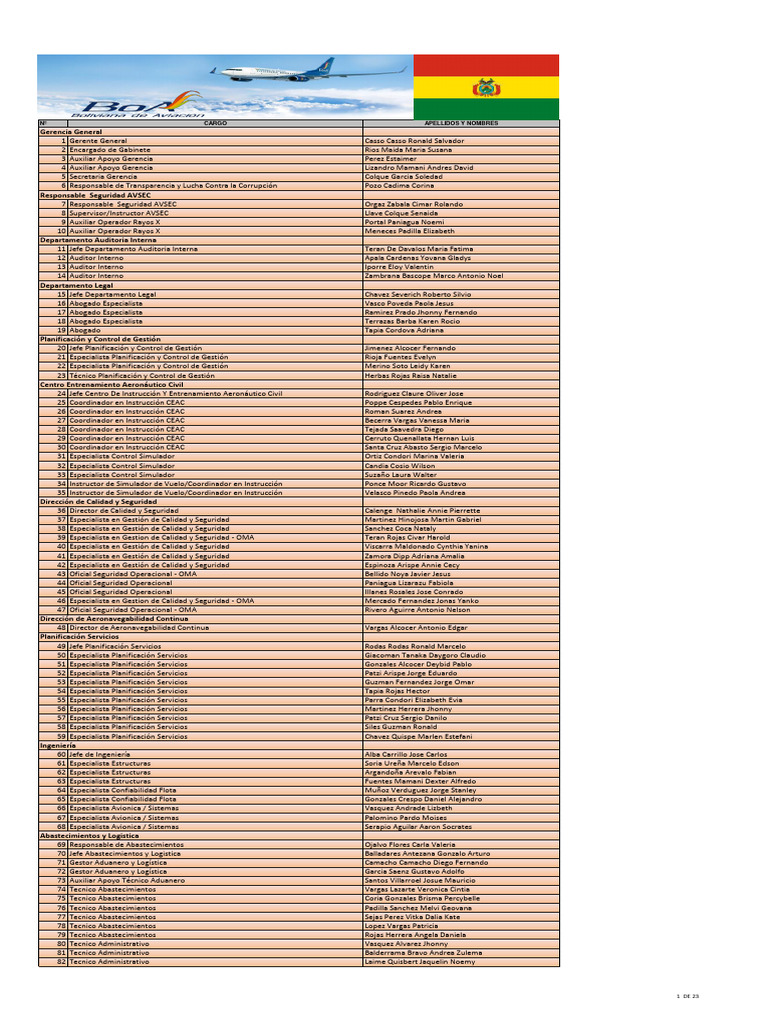 BoA Institucional 2024 | PDF