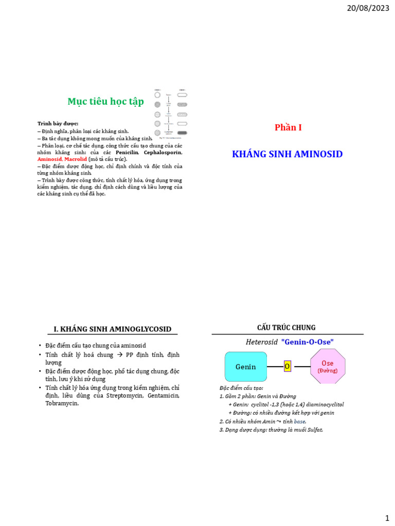 Chương 2 - Kháng Sinh P3 (Aminosid - Macrolid) | PDF