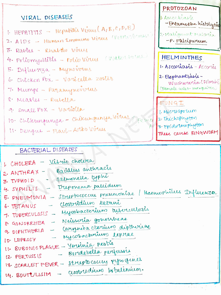 Viral and Bacterial Diseases | PDF | Science & Mathematics
