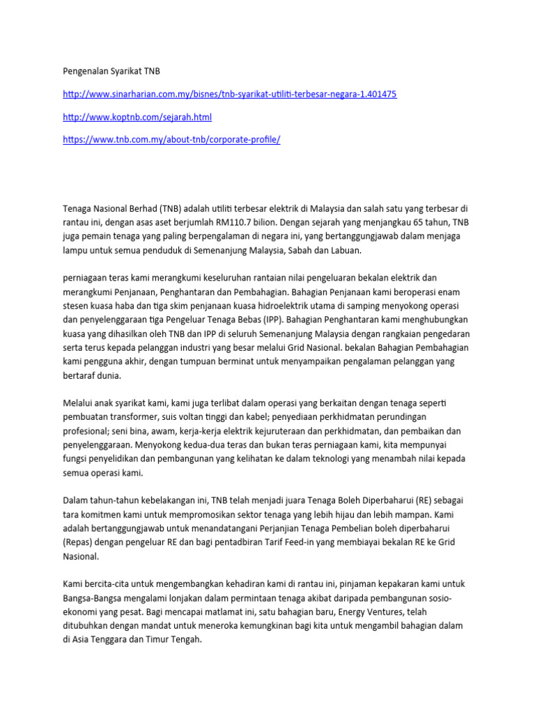 Pengenalan Ringkas Syarikat TNB | PDF