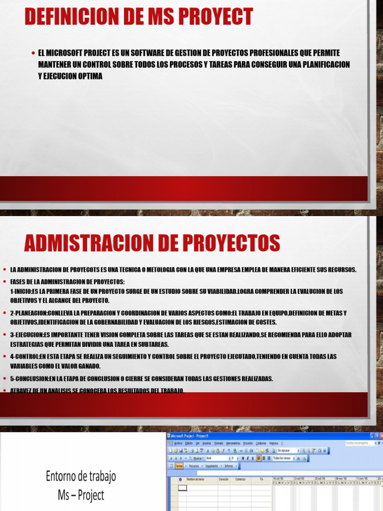 Definicion de Ms Proyect | PDF
