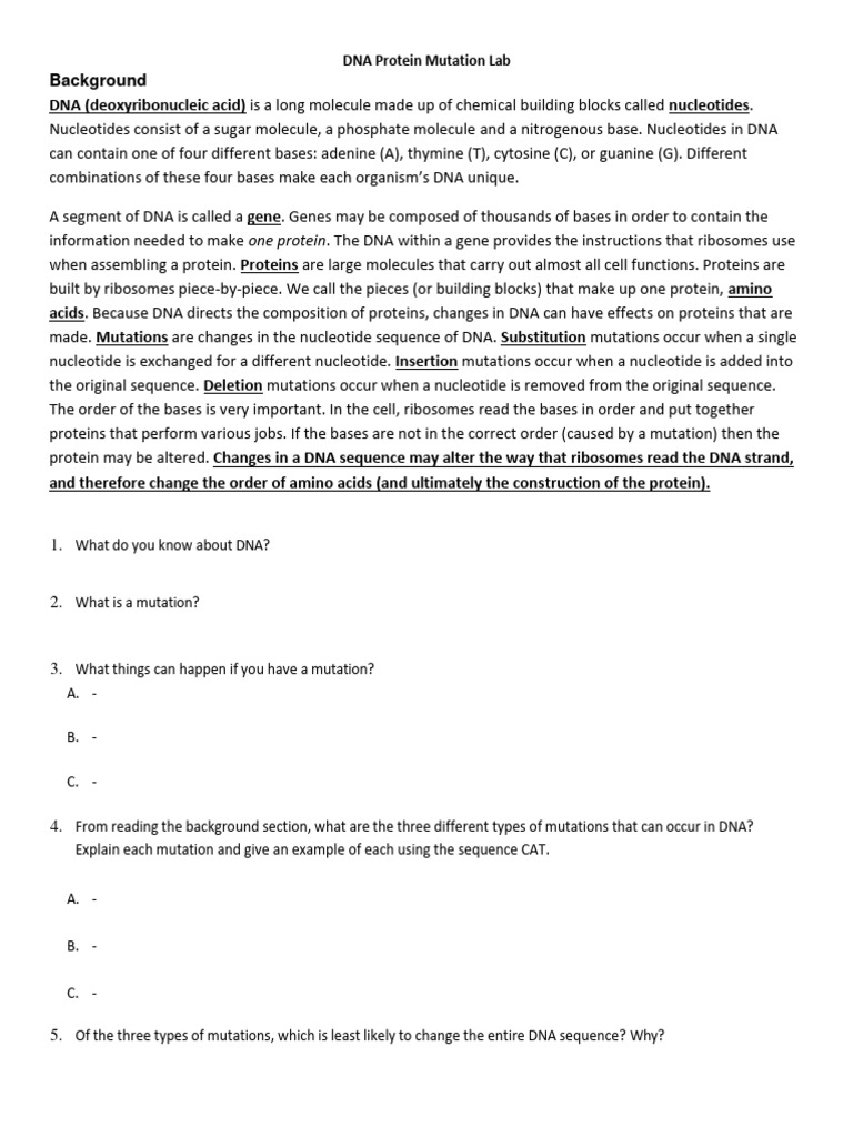 myDNA Protein Mutation Lab JP | PDF | Nucleic Acid Sequence | Nucleotides