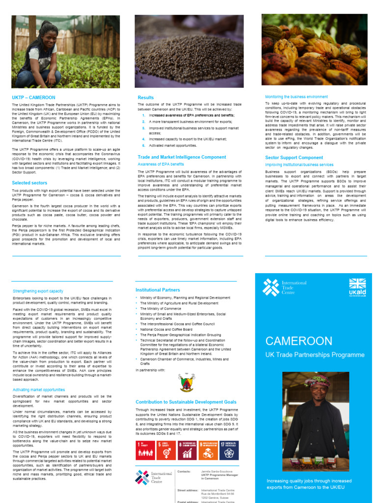 Cameroon Trade Boost Initiative | PDF | Economies | Business