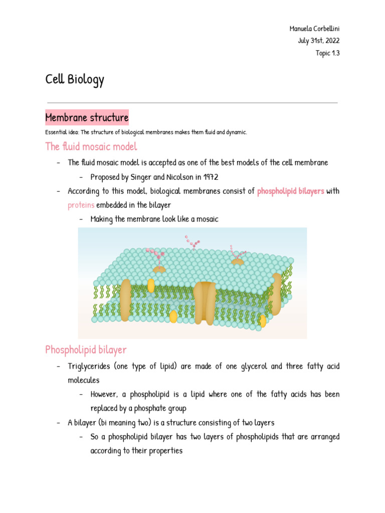 Fluid Mosaic Model of Cell Membranes | PDF | Cell Membrane | Phospholipid