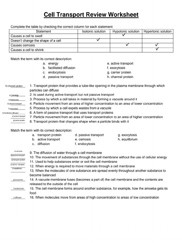 BIO 1 - TUTORIAL - Membrane Transport Worksheet - Edit - 26-02-2024 ...