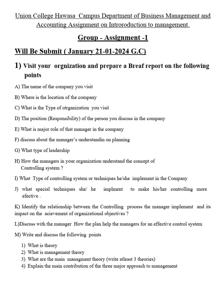 Introduction To Management Assignment | PDF