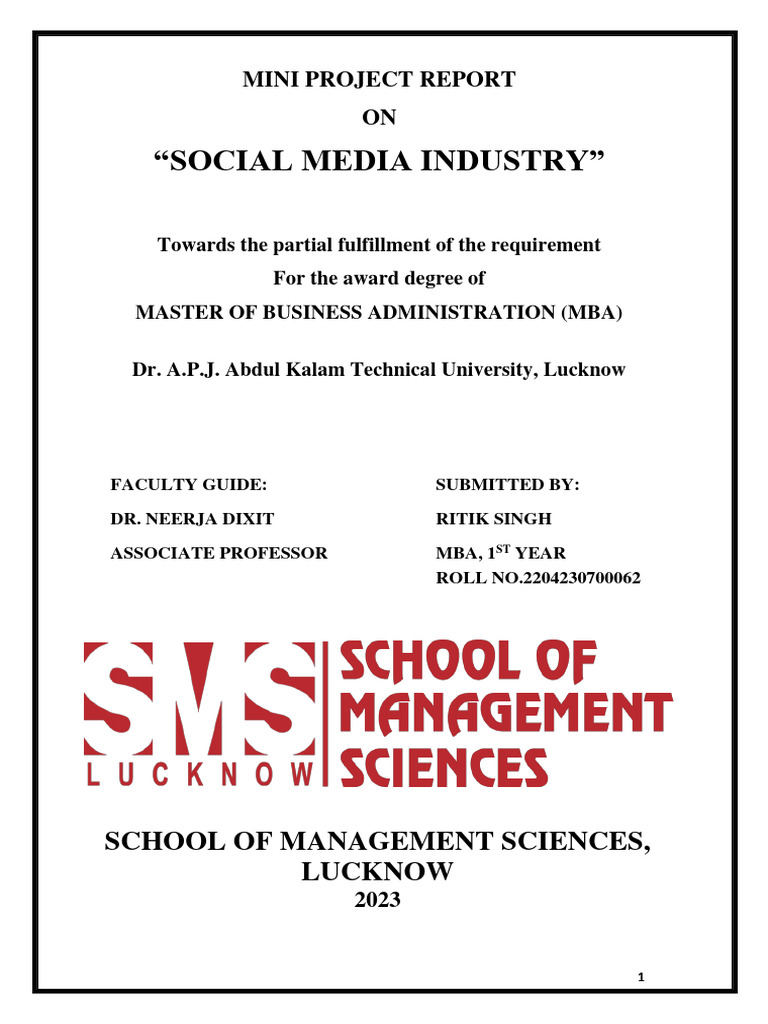 "Social Media Industry Mini Project | PDF | Popular Culture & Media ...