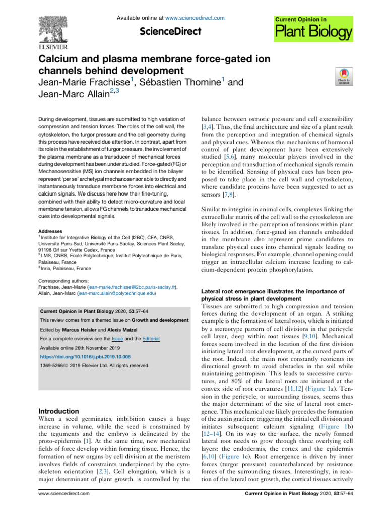 Mechanosensitive Ion Channels in Plant Development | PDF | Cell ...
