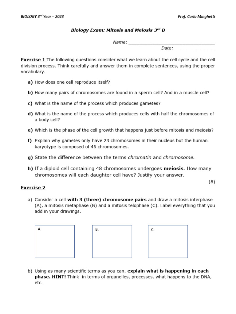 Mitosis Meiosis Test | PDF | Mitosis | Meiosis