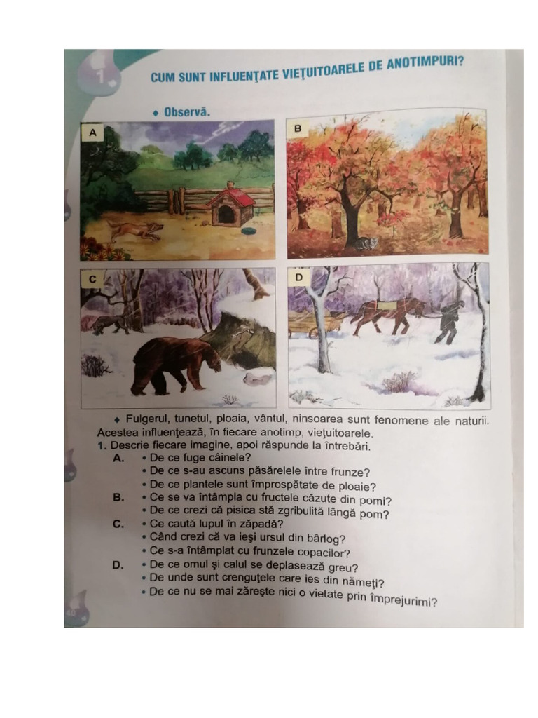 Cum Sunt Influențate Vietuitoarele de Anotimpuri | PDF