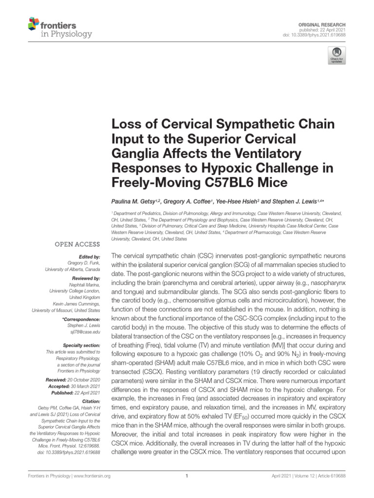 Cervical Sympathetical Chain | PDF | Clinical Medicine | Physiology
