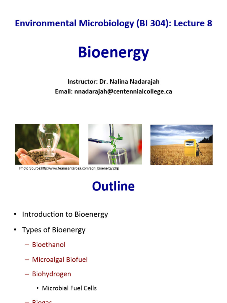 Lecture 8 - Bioenergy | PDF | Power Resources | Bioenergy