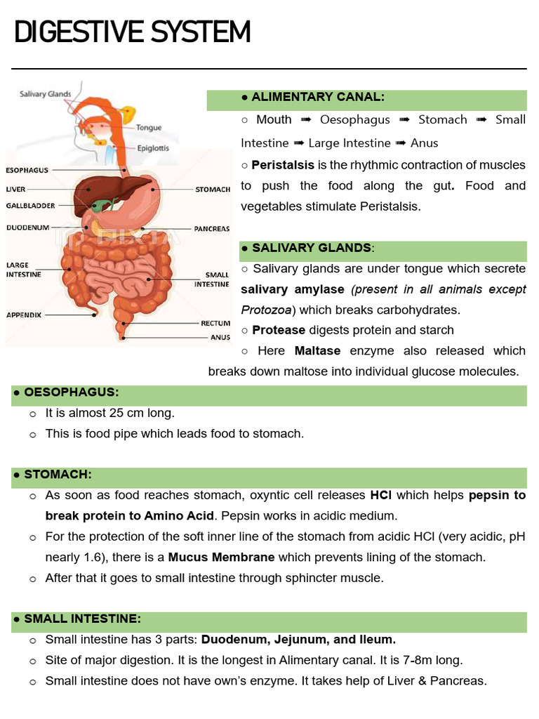 Biology | PDF
