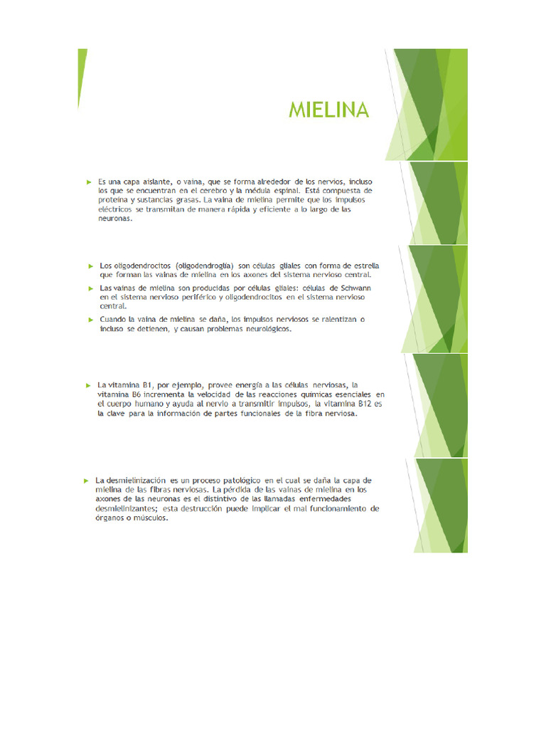 MIELINA | PDF