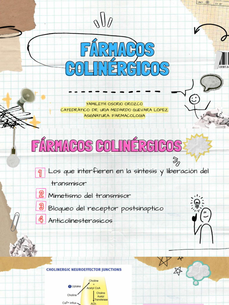 Farmacología de Fármacos Colinérgicos | PDF | Acetilcolina ...