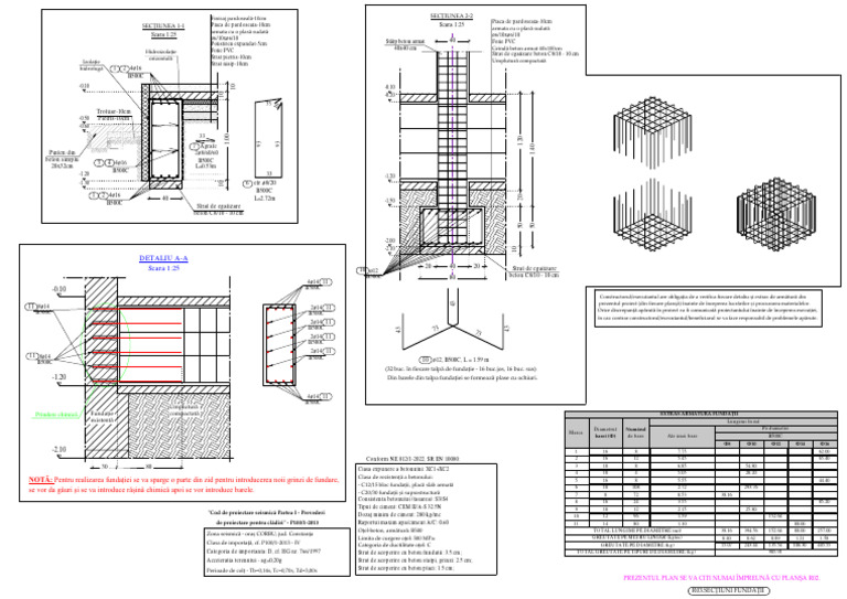 R03.Sectiuni Fundatii - 5 | PDF