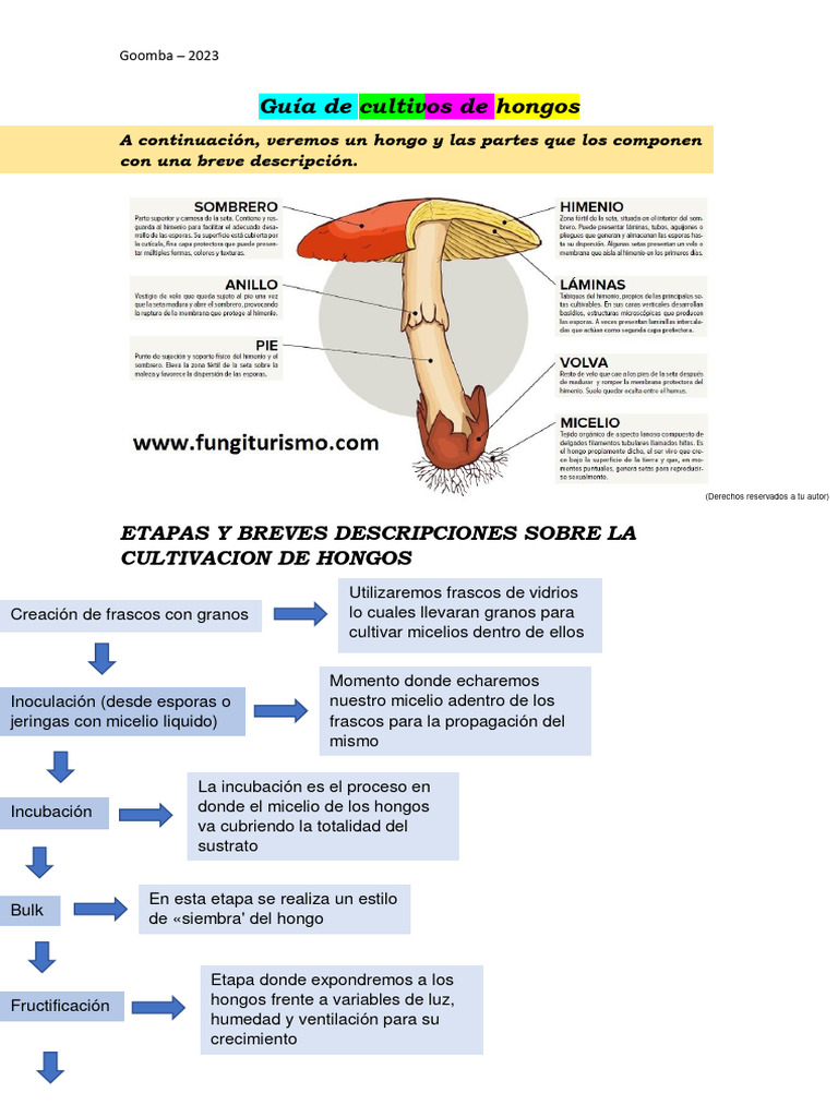 Guia de Cultivo de Goomba | PDF | Hongo | Seta