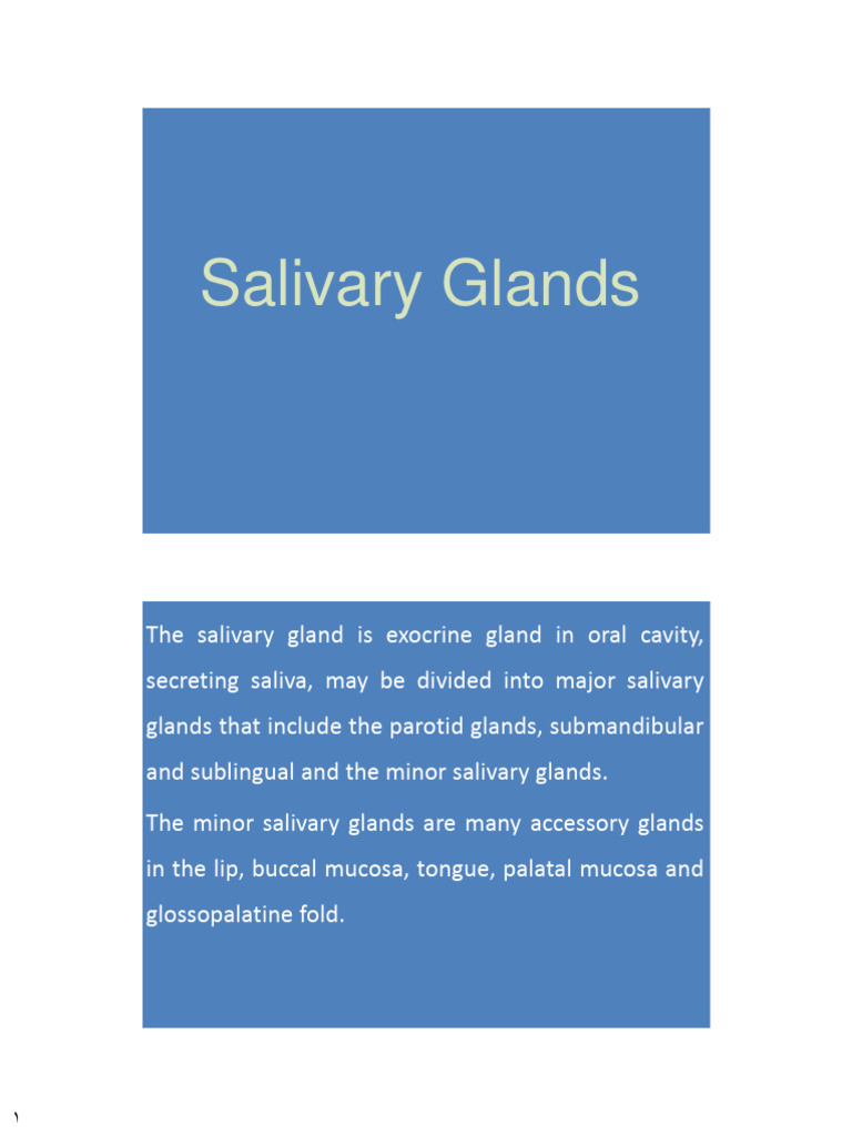 Salivary Glands | PDF | Diseases And Disorders | Clinical Medicine