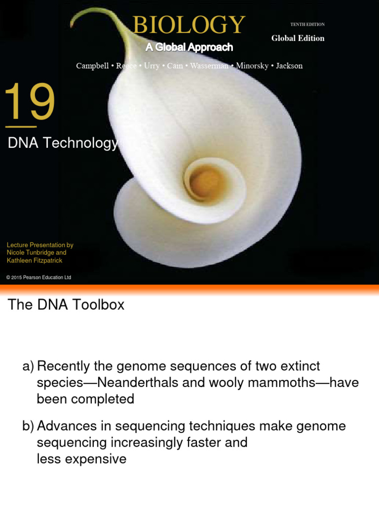DNA Technology and Genetic Engineering | PDF | Molecular Cloning | Plasmid