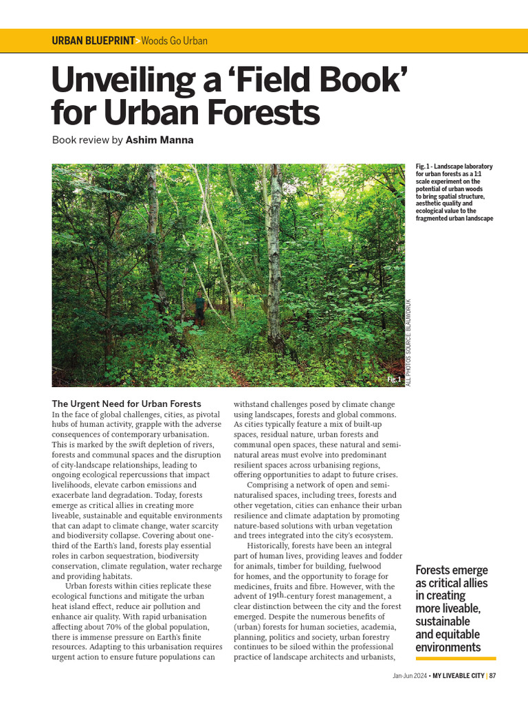 MLC - The Slow City-Optimized | PDF | Forests | Forestry
