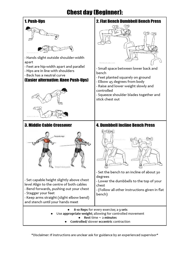 Workout Pamphlet | PDF | Anatomical Terms Of Motion | Weight Training