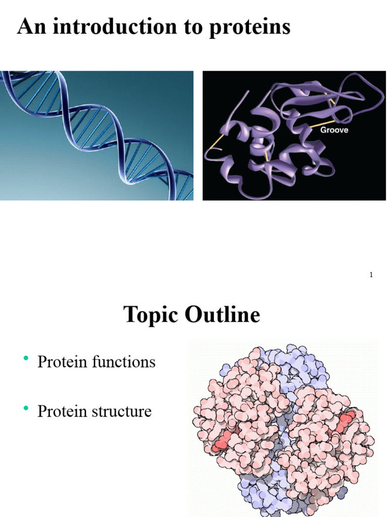 Lecture 5 - Proteins 2023 | PDF | Proteins | Protein Folding