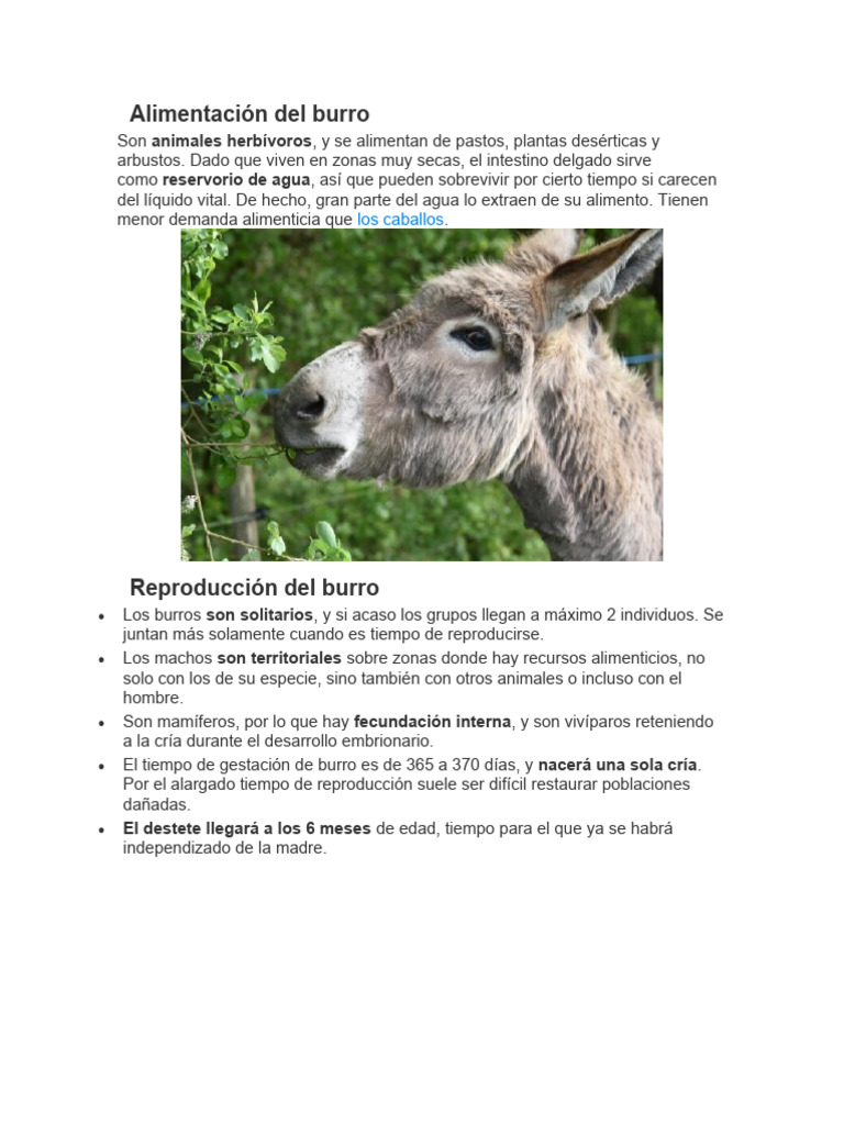 Alimentación y Reproducción del Burro | PDF