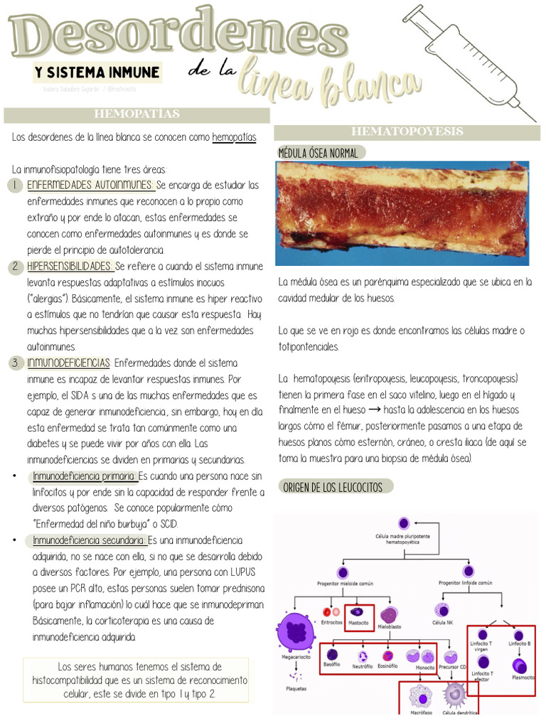 Clase 5. Desordenes de La Linea Blanca | PDF | Leucocito | Sistema inmune